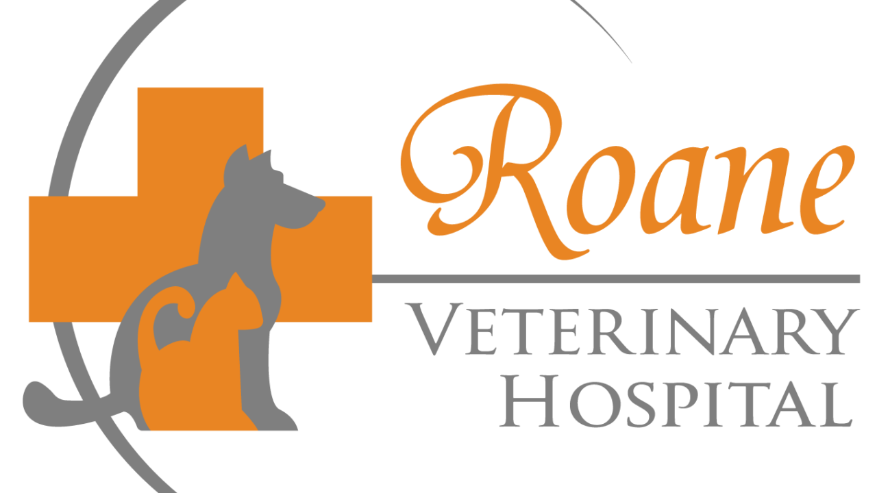 Best Veterinary Hospital In Harriman, TN | Roane